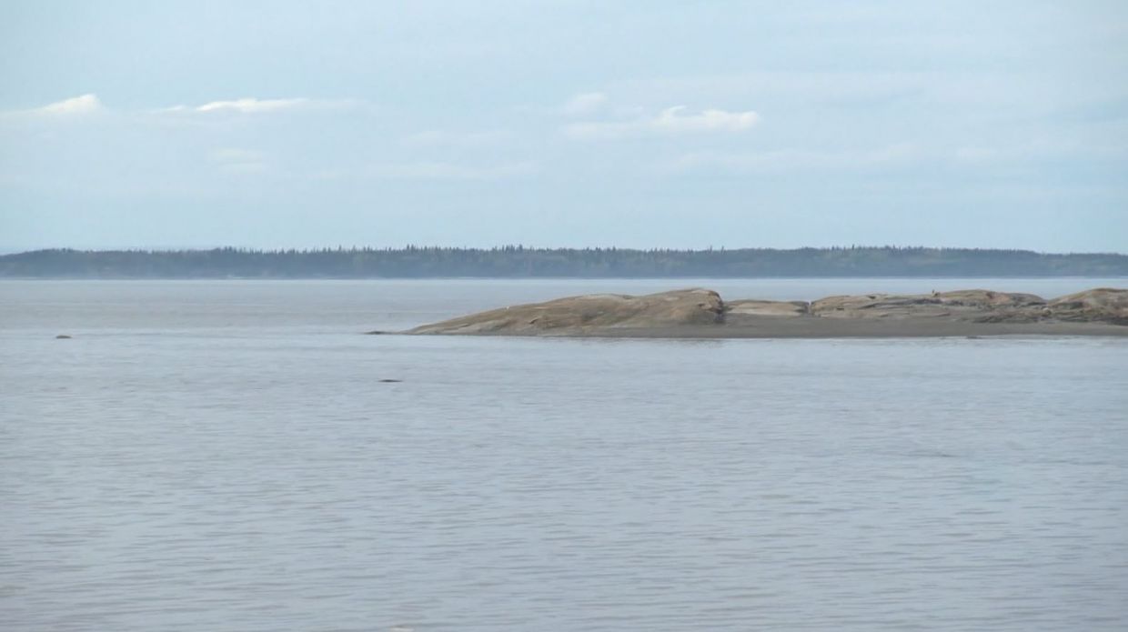 Une beau cadeau pour le Parc naturel et historique de l’Île-aux-Basques ...