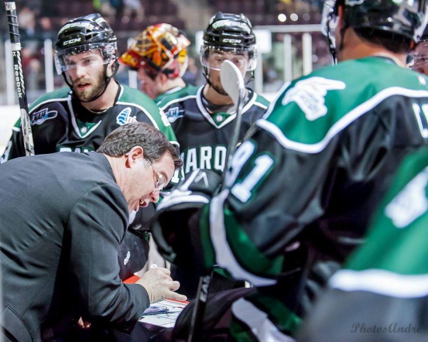 LNAH : les 3L confirment l'arrivée du nouvel entraîneur-chef Éric Haley ...