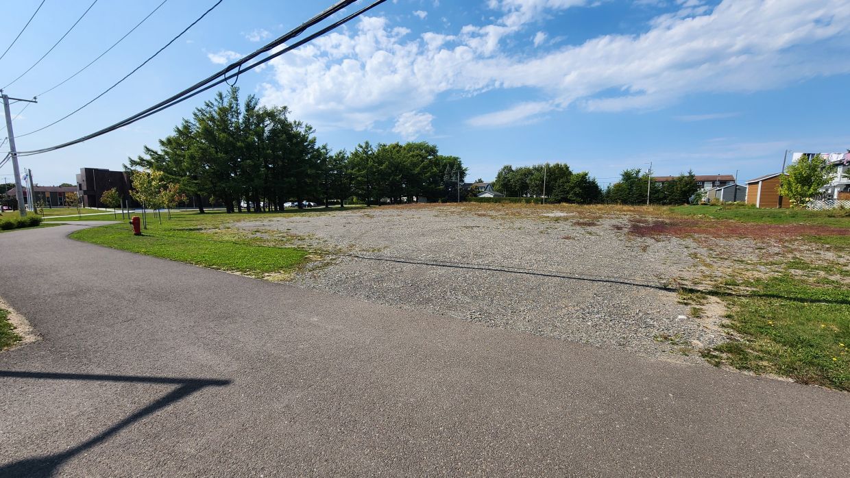 20240905_132136 - TVA CIMT CHAU