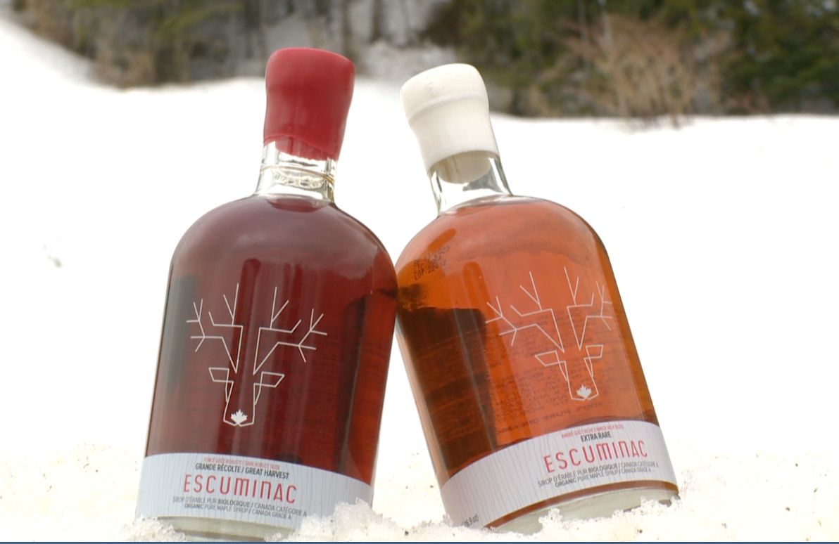 L’érablière Escuminac en pleine production - TVA CIMT CHAU