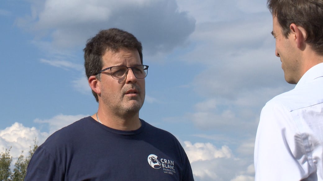 L'agriculteur Carl Gilbert candidat à la mairie de Saint-Urbain - TVA ...