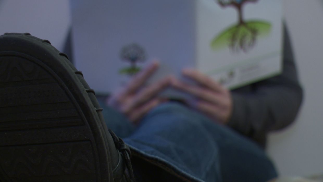 Violence familiale et sexuelle : les besoins en hausse - TVA CIMT CHAU