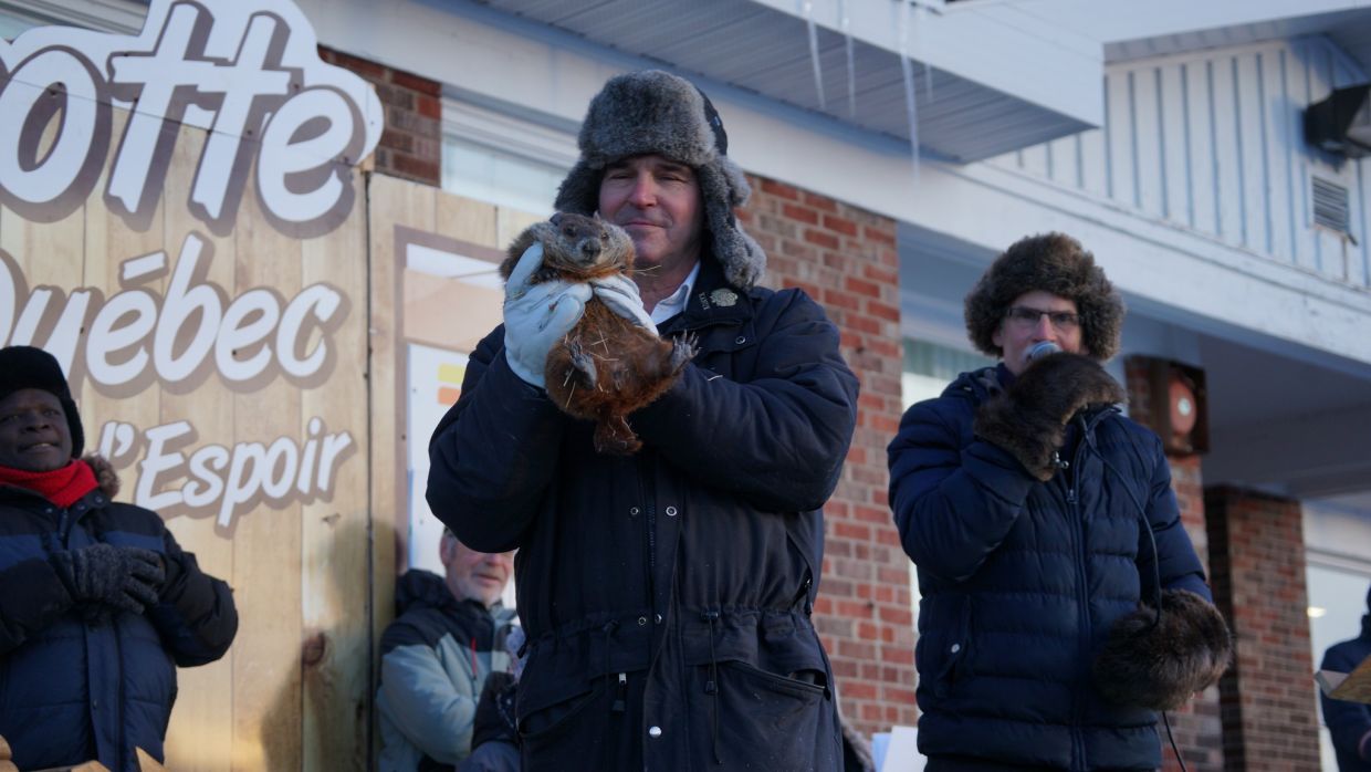 Fred la marmotte de Val D’Espoir prédit un printemps hâtif - TVA CIMT CHAU