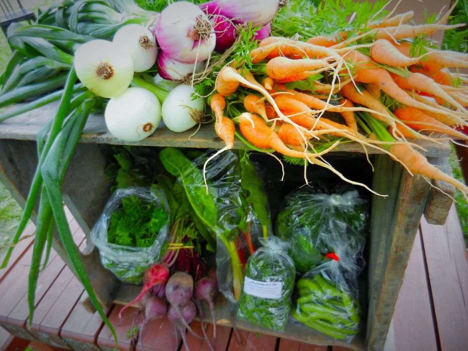 682 000$ pour encourager la consommation de légumes d'ici - TVA CIMT CHAU