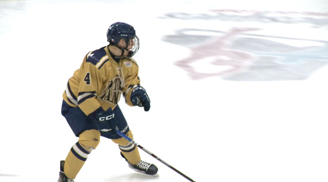 Repêchage LHJMQ : trois joueurs de la région font le saut - TVA CIMT CHAU