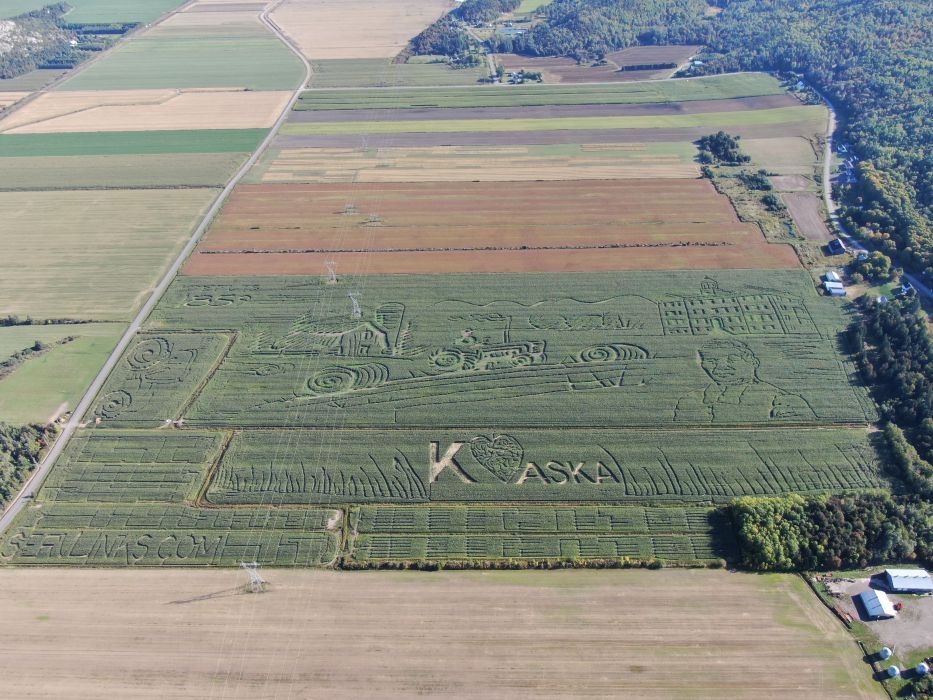 Le labyrinthe de La Pocatière est le plus grand au monde - TVA CIMT CHAU