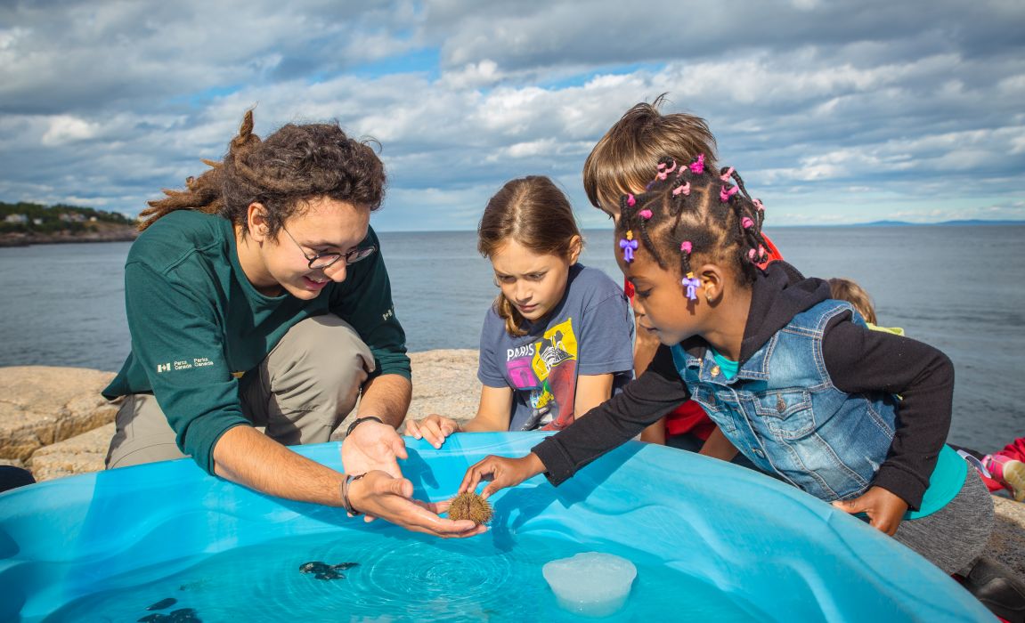 Retour progressif dans les centres de Parcs Canada au parc marin du ...