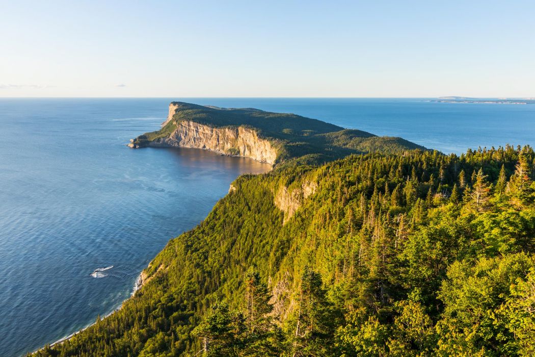 4 millions de dollars pour que la nature reprenne ses droits à Forillon ...