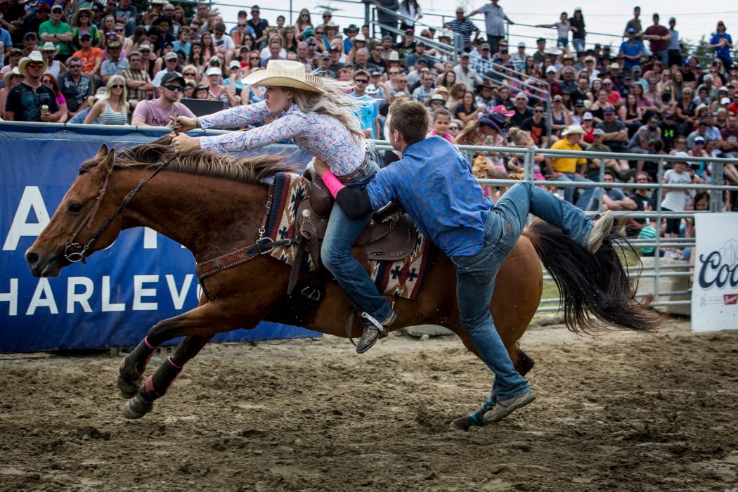Le Rodéo de Charlevoix annulé - TVA CIMT CHAU
