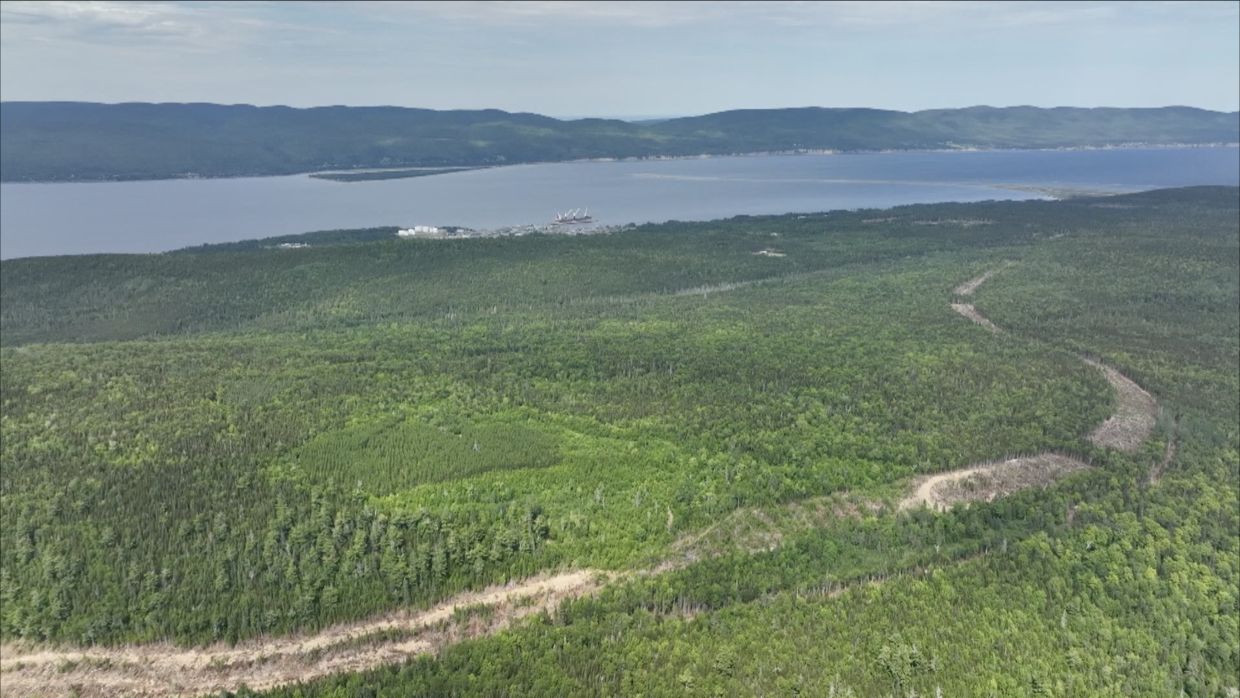 La route qui relie le port de Gaspé au parc industriel des Augustines ...